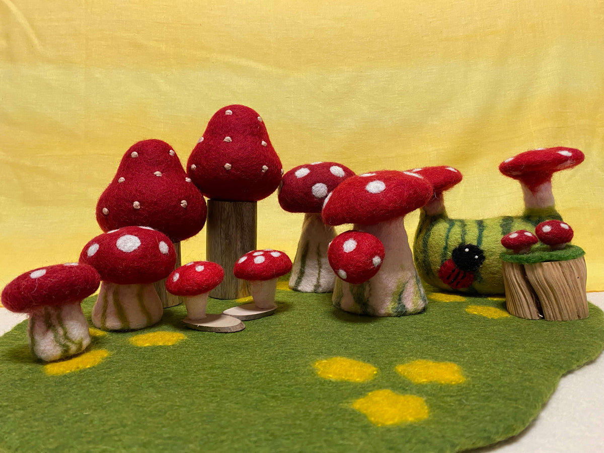 Toadstools – The Pixie Patch