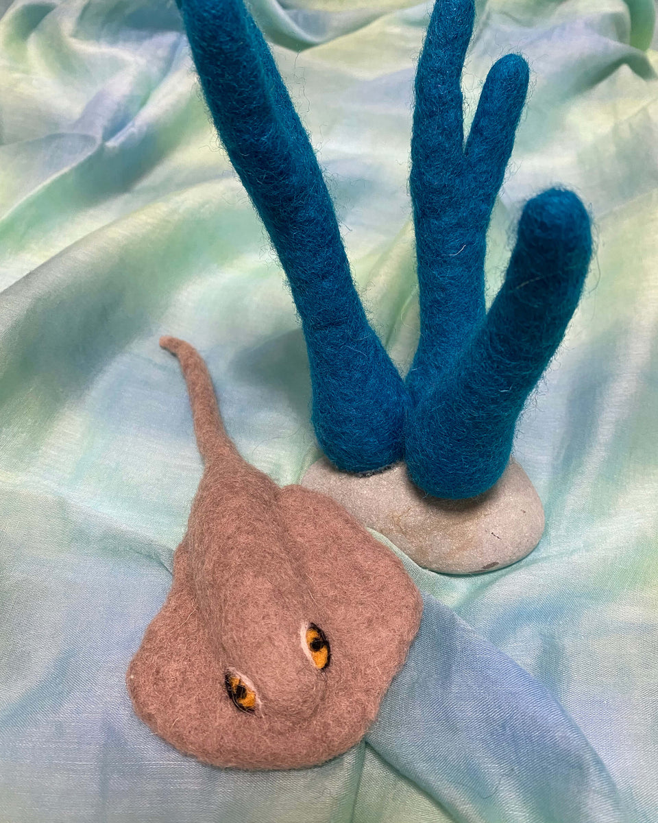 Stingray – The Pixie Patch