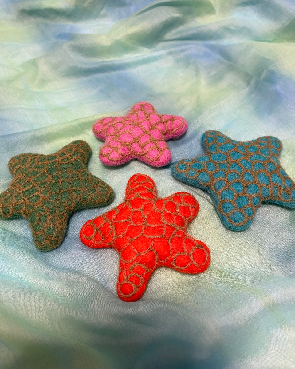 Firebrick Starfish – The Pixie Patch