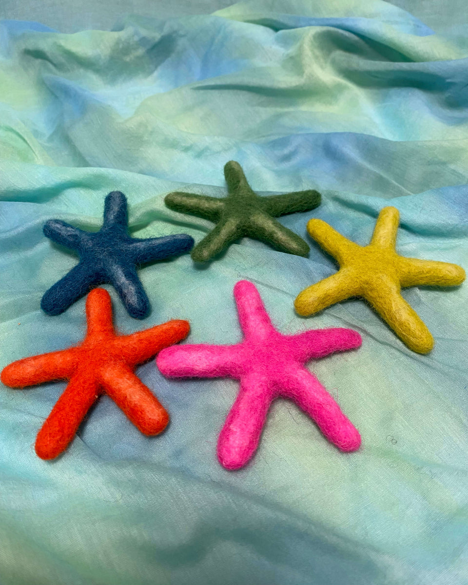 Starfish – The Pixie Patch