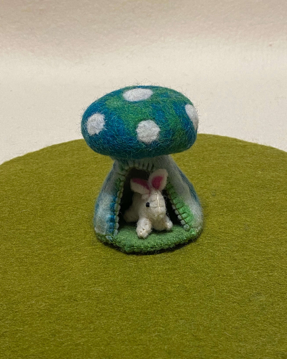 Turquoise Pet Home – The Pixie Patch