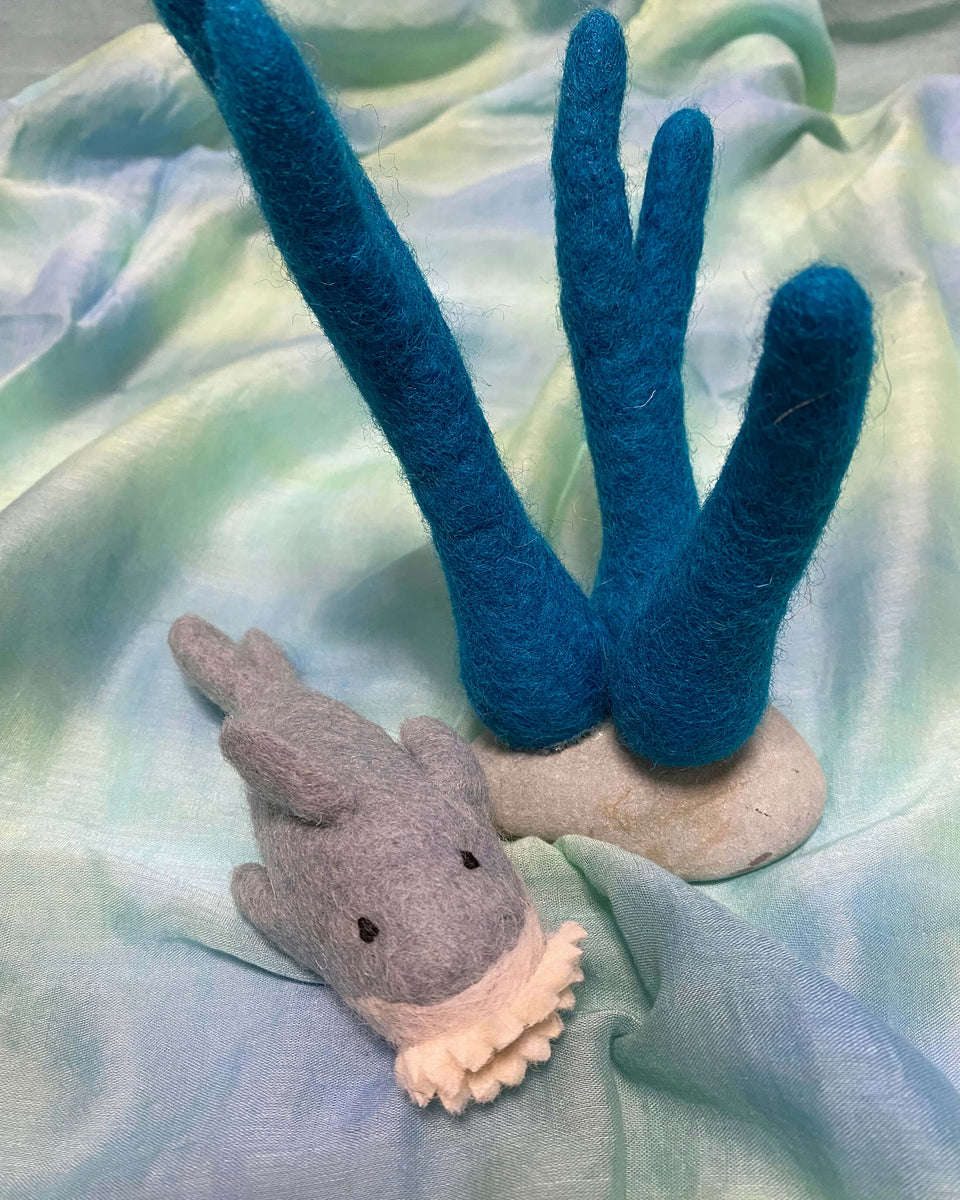 Shark – The Pixie Patch