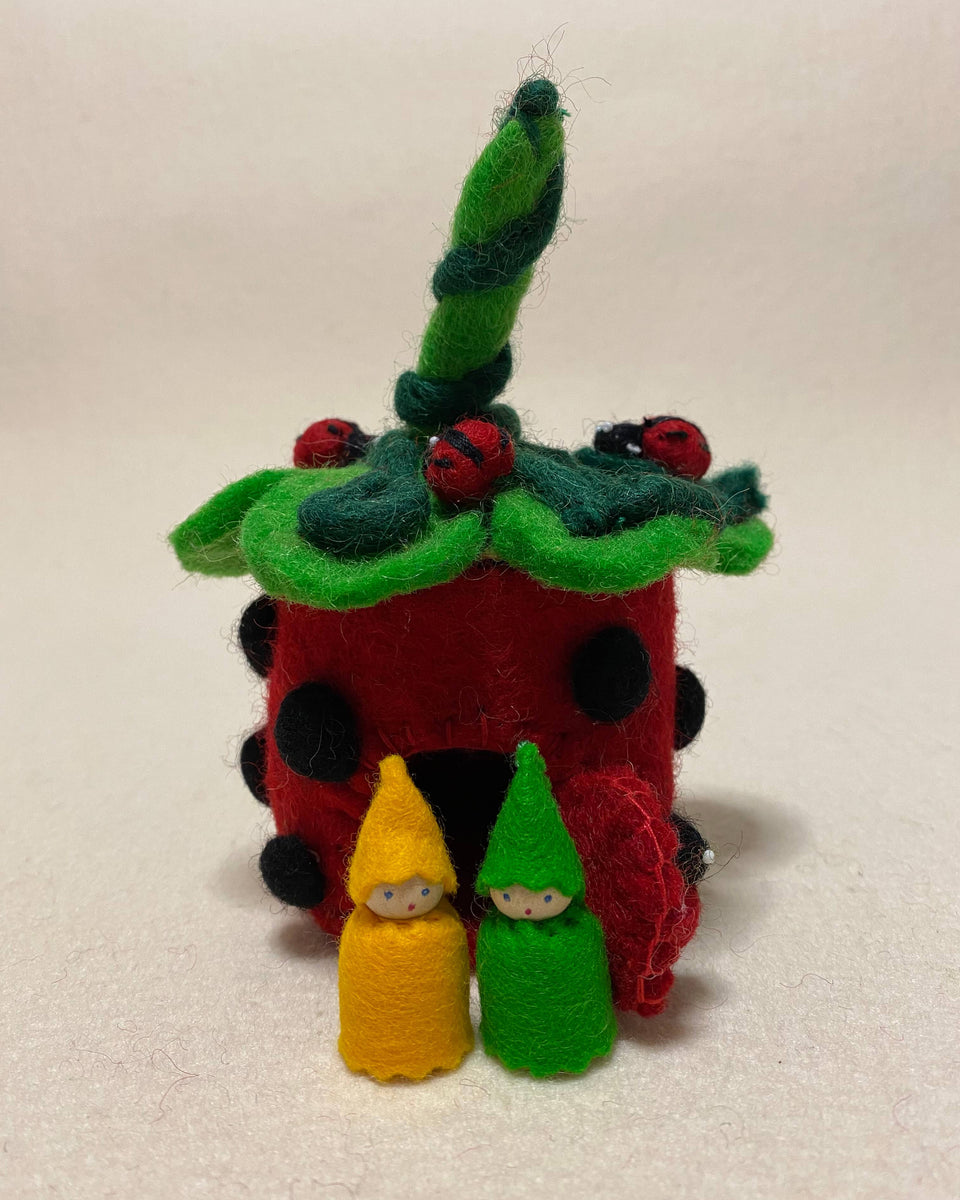 Tiny Ladybird Home The Pixie Patch